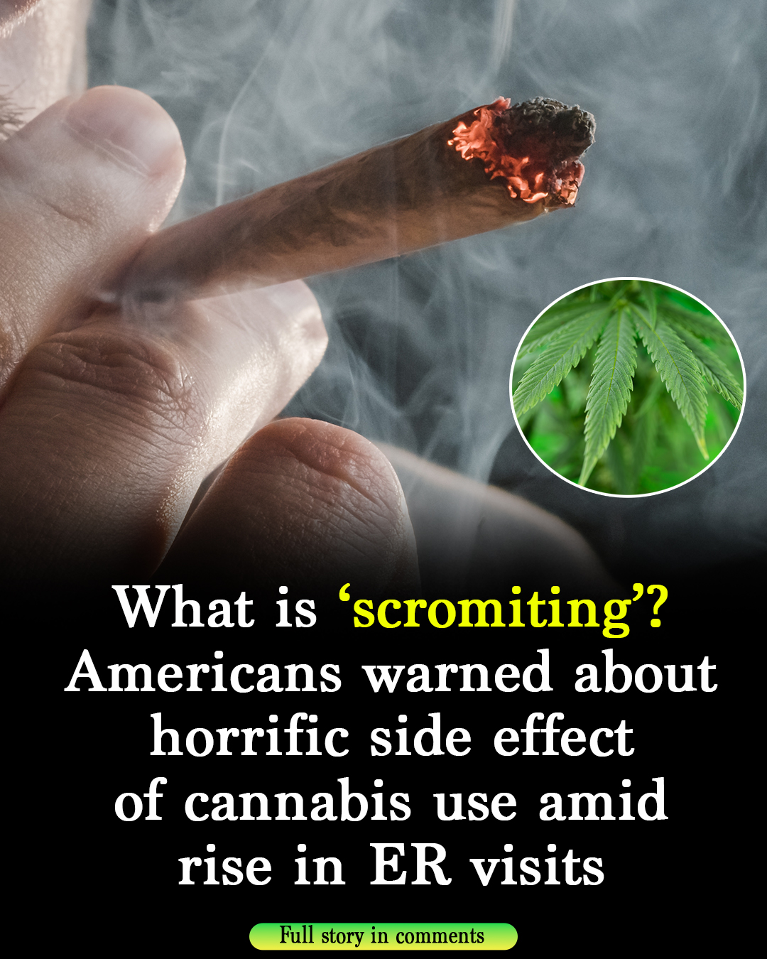 what is ‘scromiting’? us citizens warned about terrifying cannabis side ...