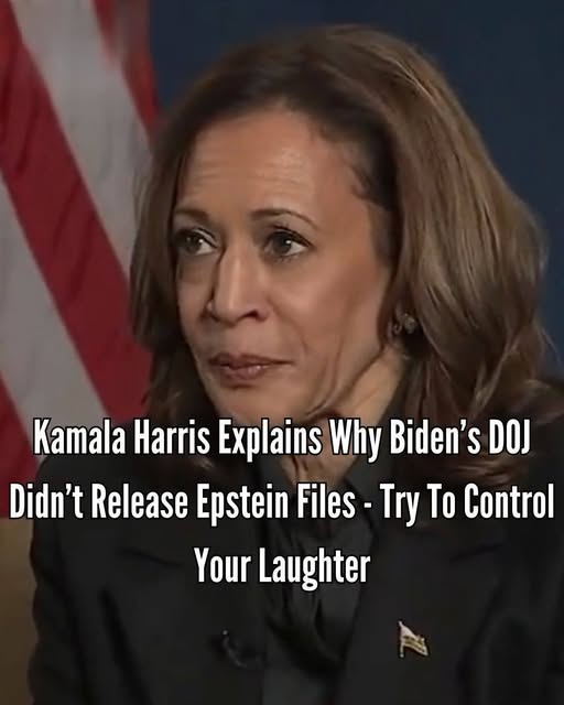 Kamala Harris Just Gave the Most Laugh-Worthy Response As to Why Biden ...